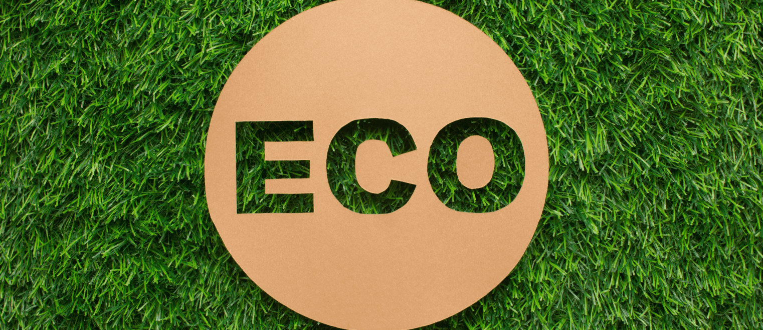 The Environmental Impact of User Manuals: Going Green – Manuals Hunt & Search